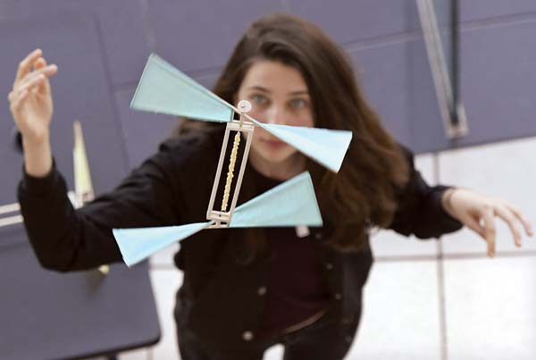 Taking flight at science olympiad | News, Sports, Jobs - Maui News